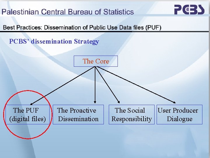 Best Practices in Data Dissemination Public Use Data