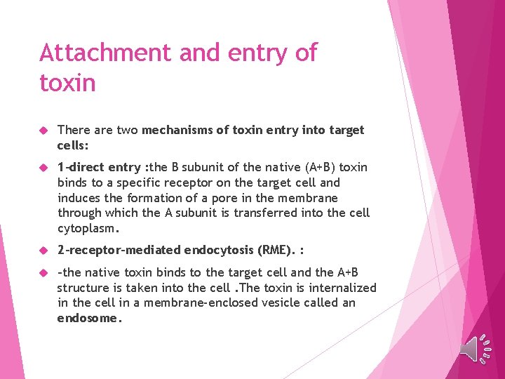 MembraneDamaging Toxins 1 Hemolysins These toxins cause lysis