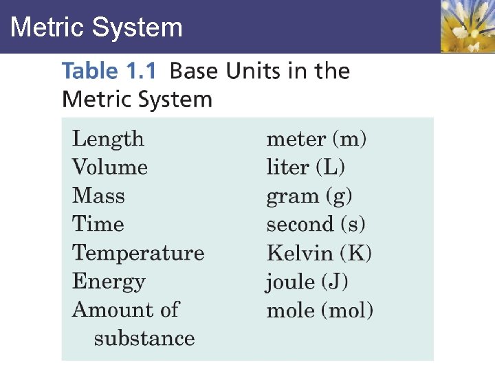 Frederick A Bettelheim William H Brown Mary K