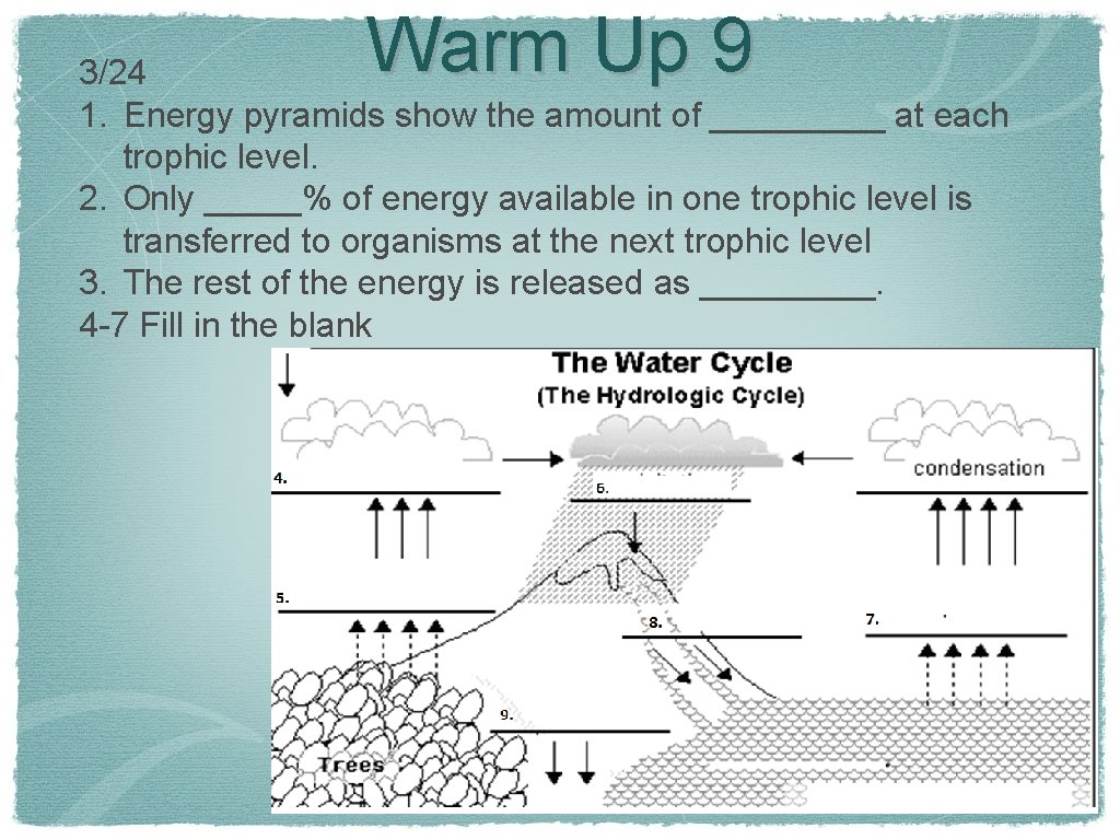 Warm Up 9 324 1 Energy pyramids show