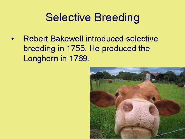 The Inventions of the Agricultural Revolution Kaitlyn Uchishiba