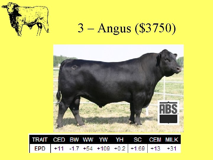 Selecting Herd Bull Beef Production Game What is