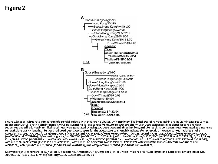 Figure 2 nbsp Phylogenetic comparison of zoo felid