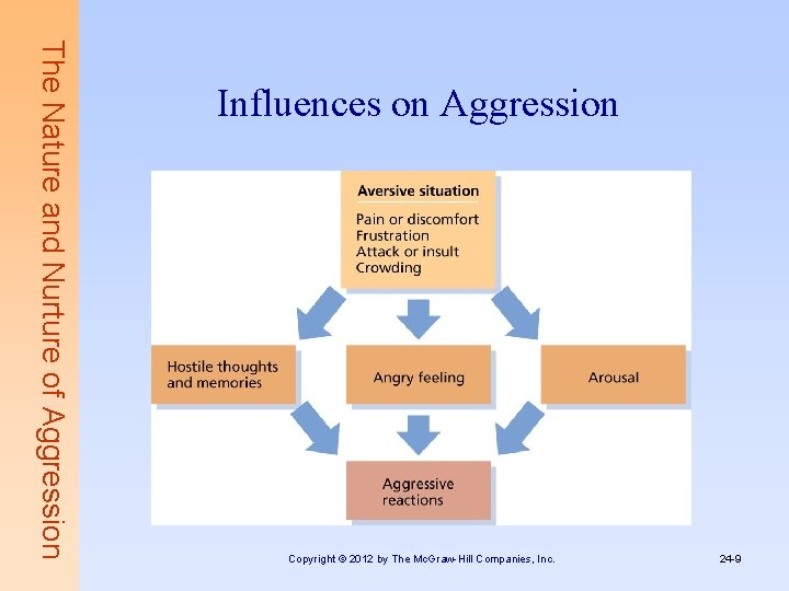 The Nature and Nurture of Aggression Social Dominance