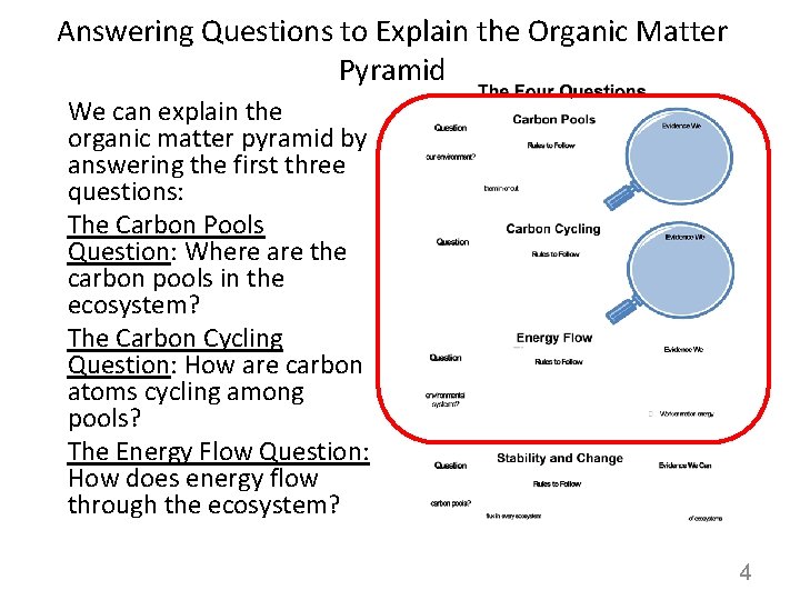 Carbon Transformations in Matter and Energy Environmental Literacy