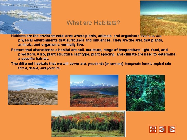 Different Habitats 4 th Grade Anna Wilson What