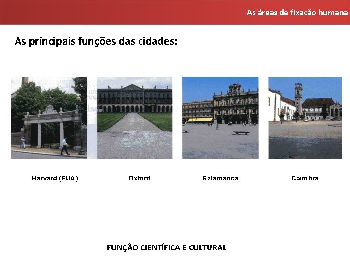 Geografia 8 ano Colgio de Nossa Senhora de