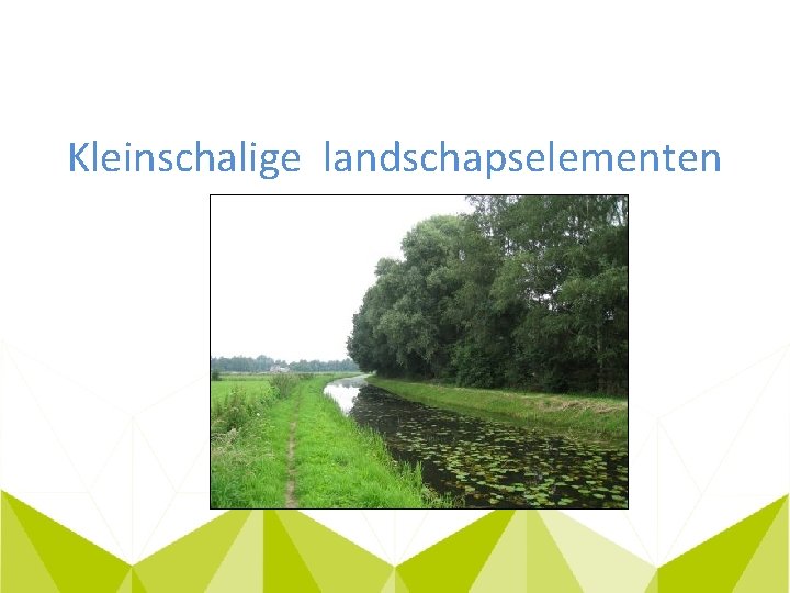 Kleinschalige landschapselementen Wat zijn kleinschalige ...