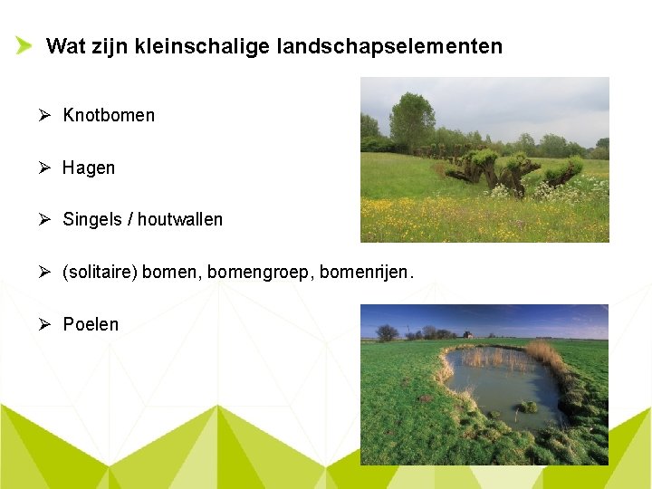 Kleinschalige landschapselementen Wat zijn kleinschalige ...