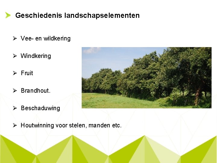 Kleinschalige landschapselementen Wat zijn kleinschalige ...