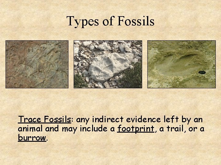 Early History of Earth Most scientists believe that