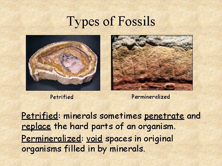 Early History of Earth Most scientists believe that