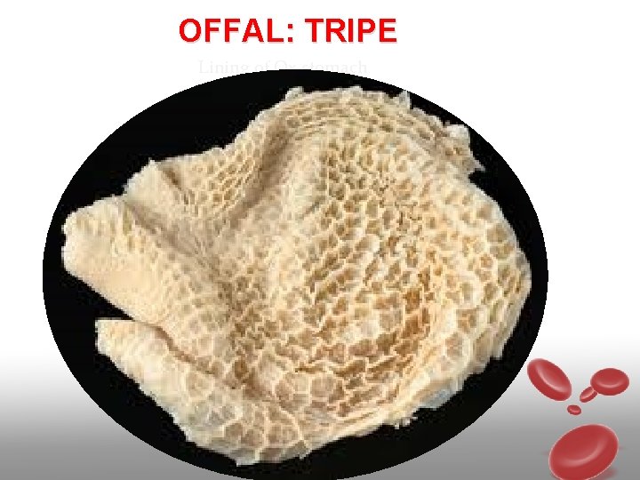 MEAT Grade 12 BASELINE ASSESSMENT 1 What is