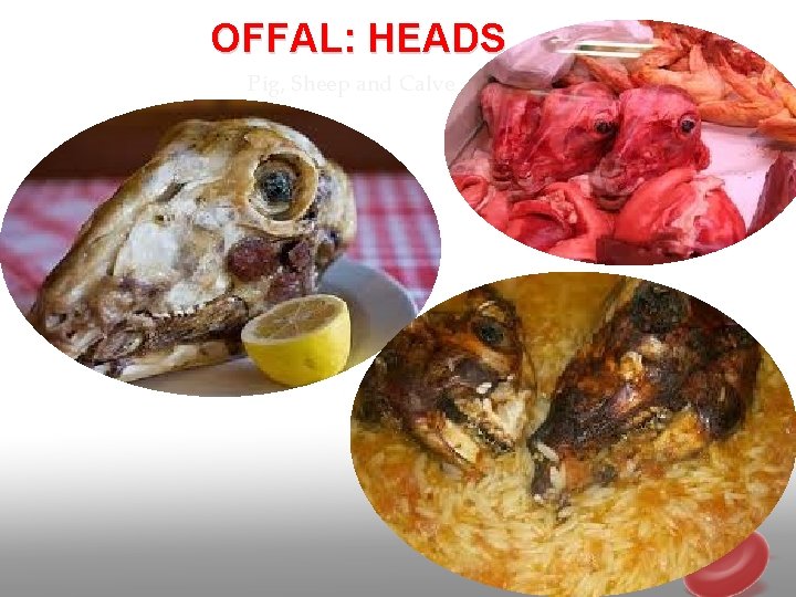 MEAT Grade 12 BASELINE ASSESSMENT 1 What is