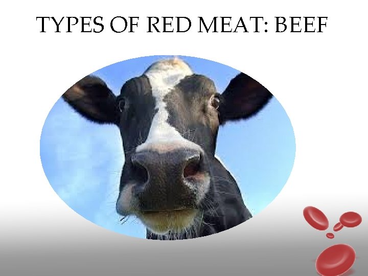 MEAT Grade 12 BASELINE ASSESSMENT 1 What is