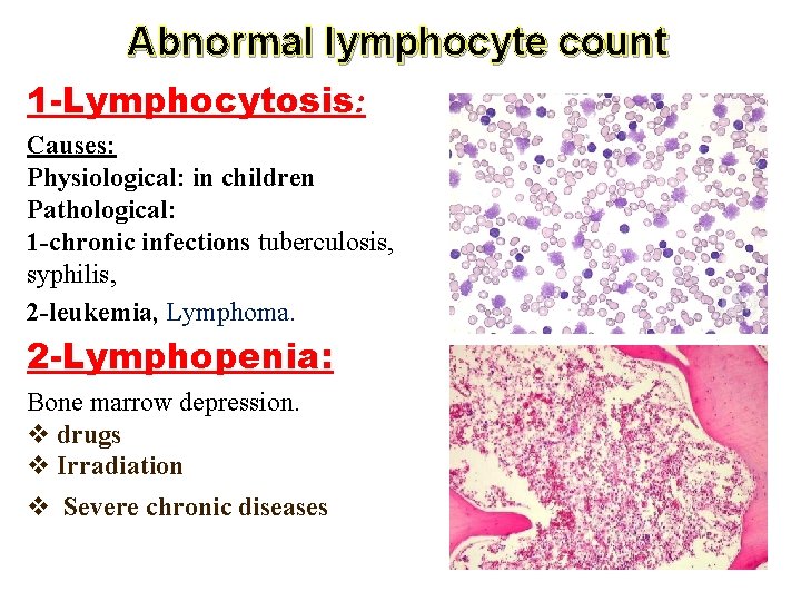 Blood Lecture 2 leucocytes 1 The formed blood