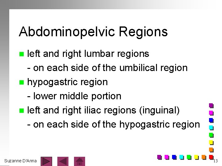 Body Cavities Suzanne DAnna 1 Body is divided