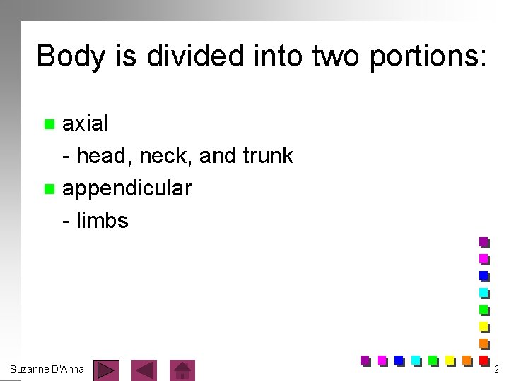 Body Cavities Suzanne DAnna 1 Body is divided