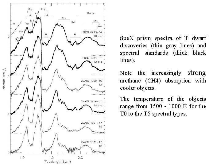 Very Cool Brown Dwarfs and Subdwarfs Identified at