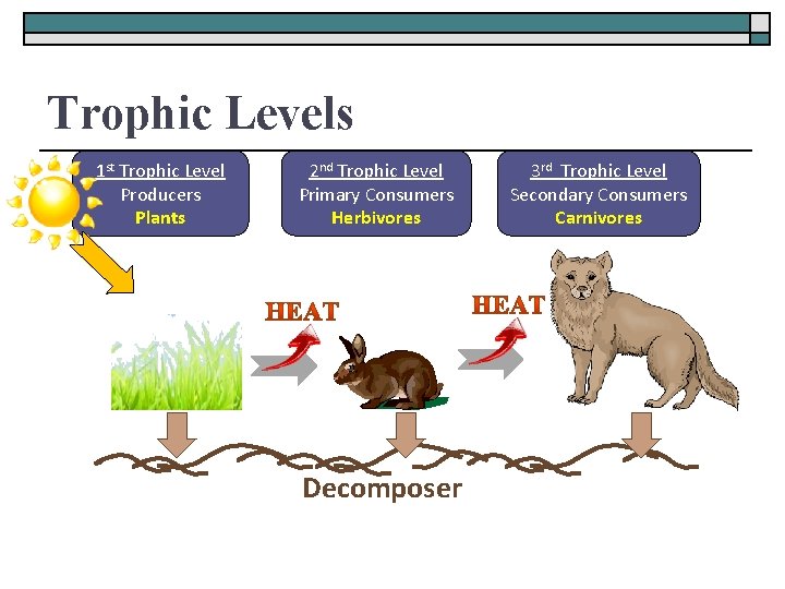Food Chains and Biomass Pyramids on Rangelands J