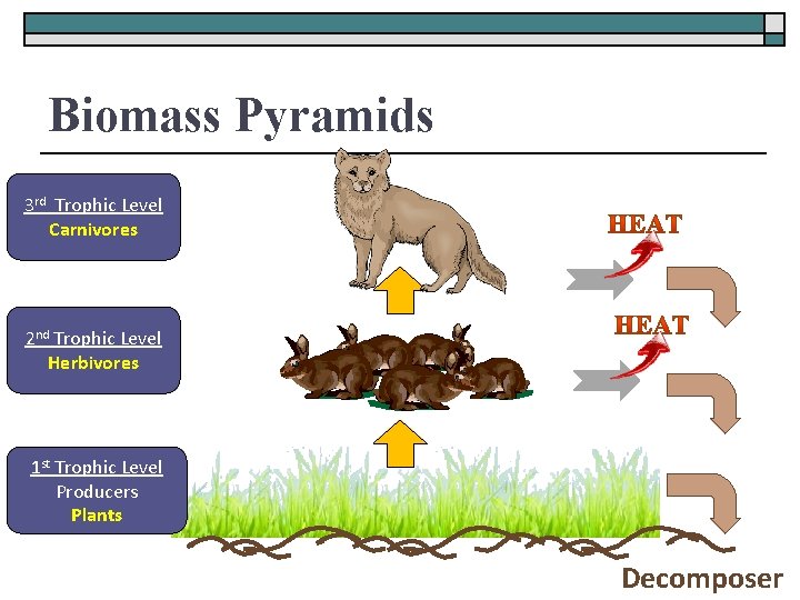 Food Chains and Biomass Pyramids on Rangelands J