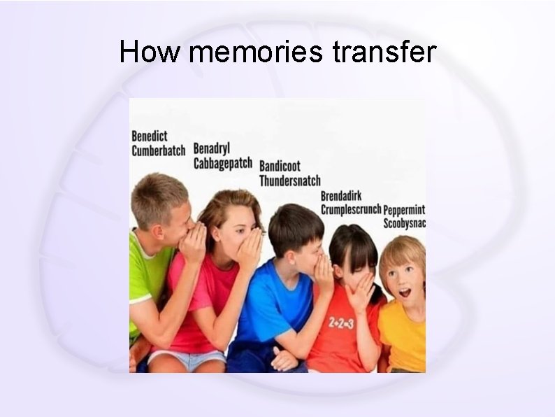 Memory The Big Questions Issues What is the