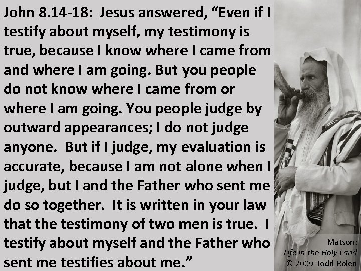 John 8 12 30 Backhouse The Jerusalem Temple