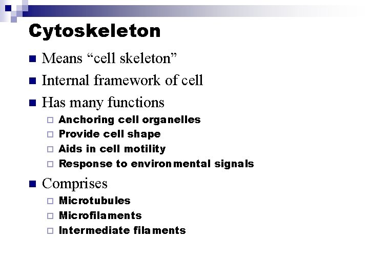 Cytoskeleton n Means cell skeleton Internal framework of