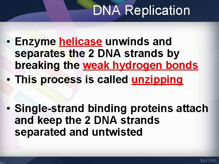The Structure of DNA Deoxyribonucleic Acid DNA Video