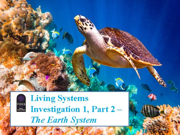 TM Living Systems Investigation 1 Part 2 The