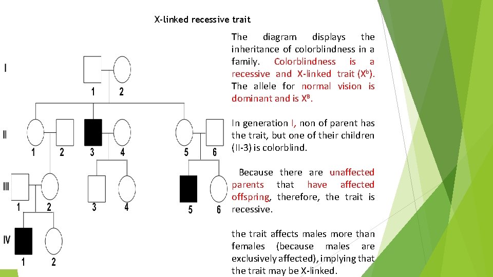 Pedigree Analysis Pedigree Analyzing the pattern of inheritance