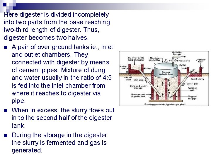 BIOGAS DR Shahid Bin Zeya Section Entomology Biogas