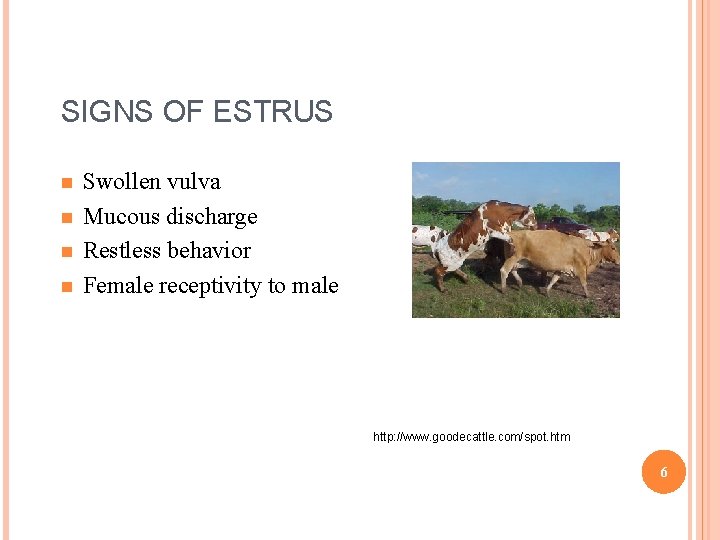 DAIRY REPRODUCTIO N BASICS 1 Slide Show courtesy