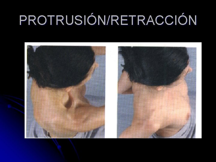 Miologa Los movimientos corporales Miologa Miologa Miologa Miologa