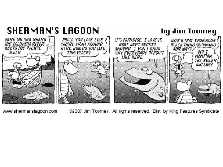 Example Presentation Article Evaluation 1 By Laura Schmidt