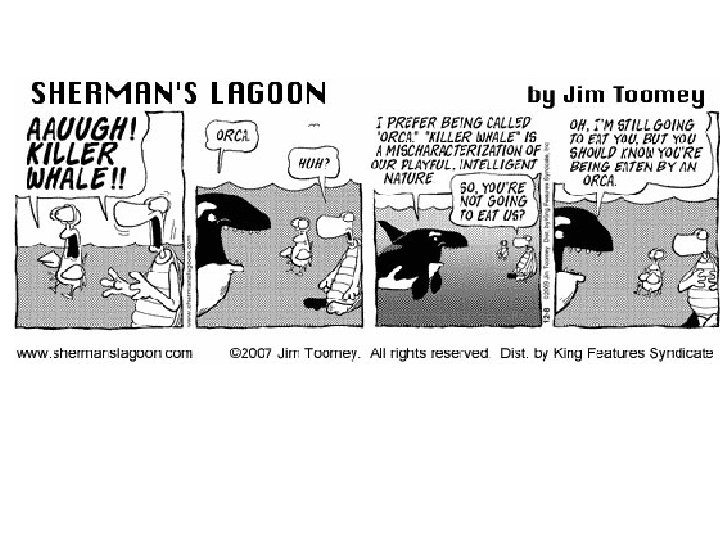 Example Presentation Article Evaluation 1 By Laura Schmidt