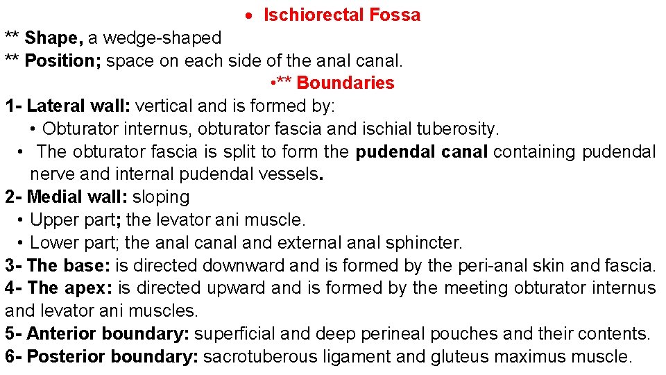 Perineum Perineum Symphysis pubis This is the outlet