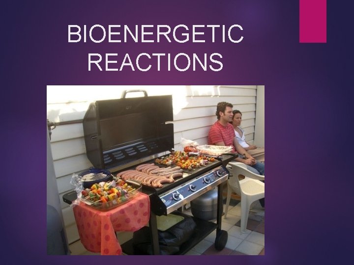 BIOENERGETIC REACTIONS Photosynthesis Overview All energy on earth