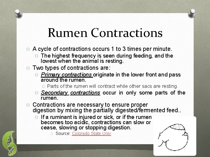 Ruminant Physiology By C Kohn Department of Agricultural
