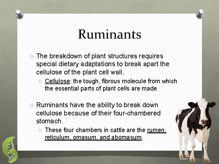 Ruminant Physiology By C Kohn Department of Agricultural