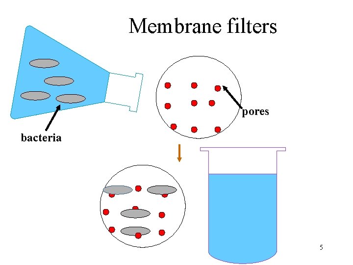 Antibiotics cell envelope Lecture 28 Dr Alvin Fox