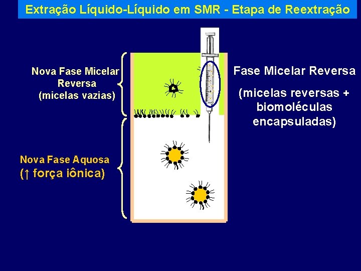Extrao LquidoLquido por Sistemas Micelares Reversos SMR Micela