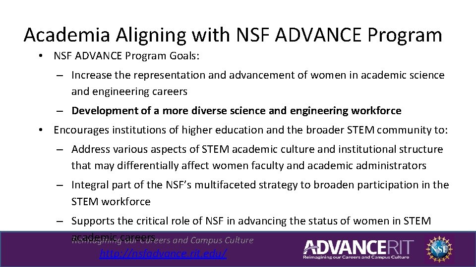 Panel Advancing Diversity and Inclusivity in STEM Education