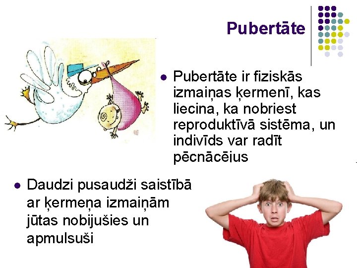 Sandra Sebre Anika Miltuze Pusaudu un jaunieu attstba