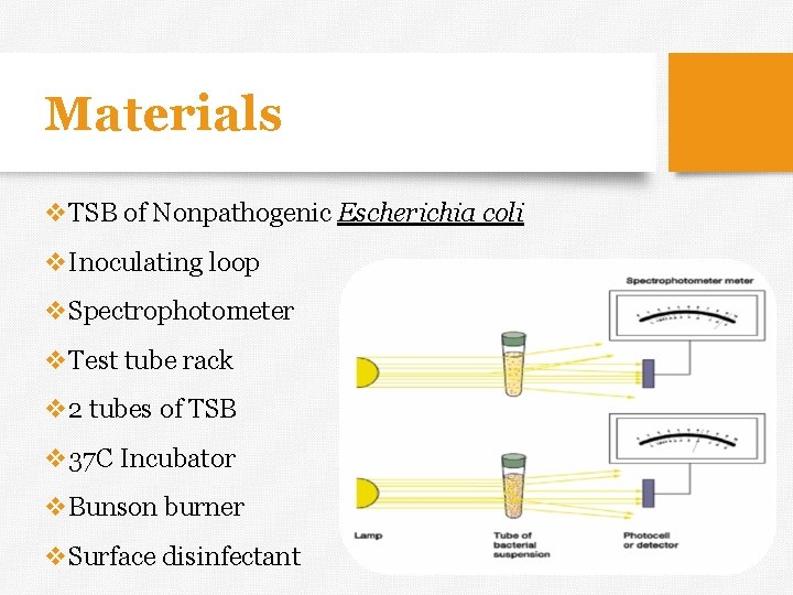 LAB 16 Measurement of Bacterial Growth v Growth