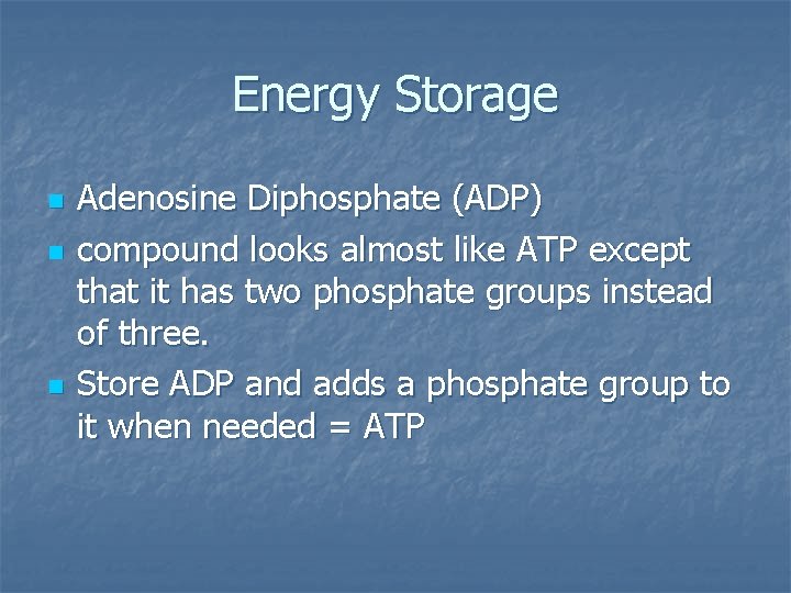 Photosynthesis Chapter 8 n Without the ability to