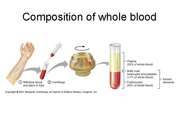Blood Exercise 29 Composition of whole blood Typical