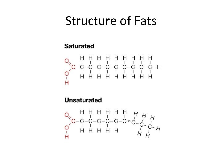 Chapter 7 Review Nutrition for Life Classes of