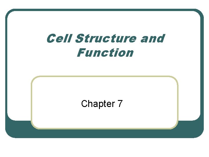 Cell Structure and Function Chapter 7 Conversion Review