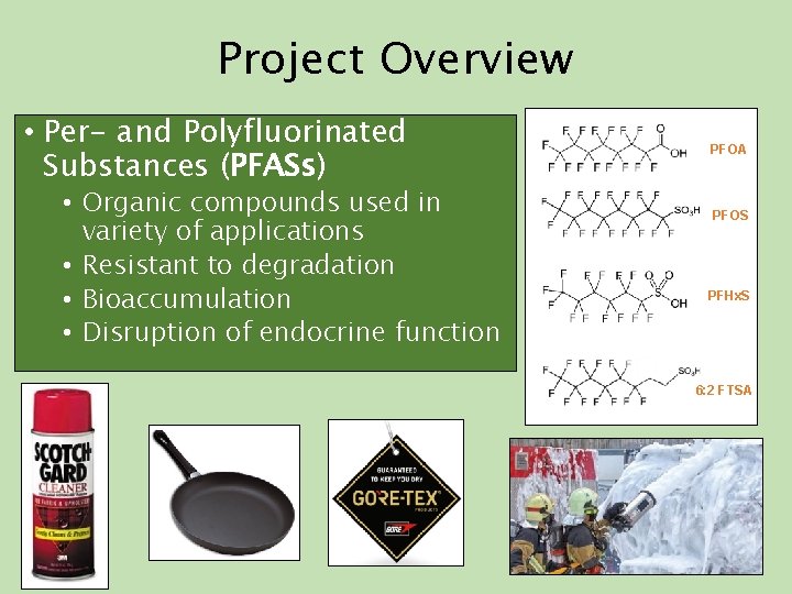 Amphibian PFAS Toxicity Reference Values for Ecological Risk